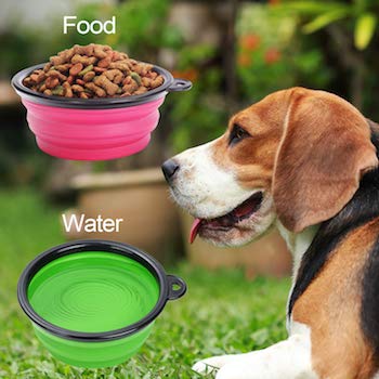 What is the Best Dog Bowl? - Dog Loves Best