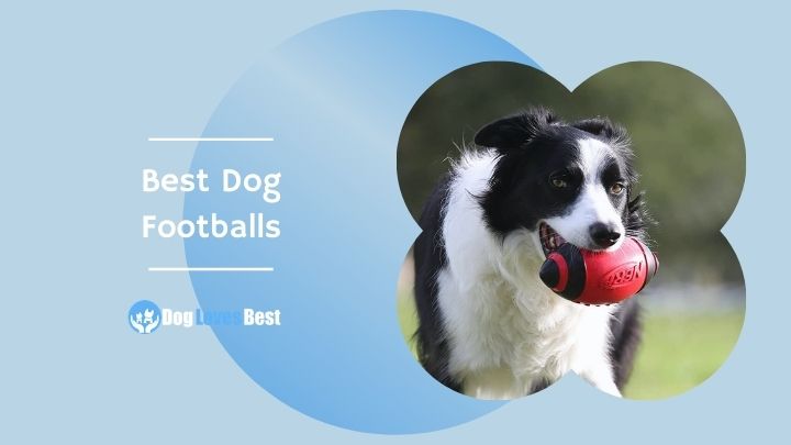 The 7 Best Dog Footballs of 2023 | Durable & Chew Proof - Dog Loves Best