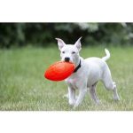 The 7 Best Dog Footballs of 2023 | Durable & Chew Proof - Dog Loves Best