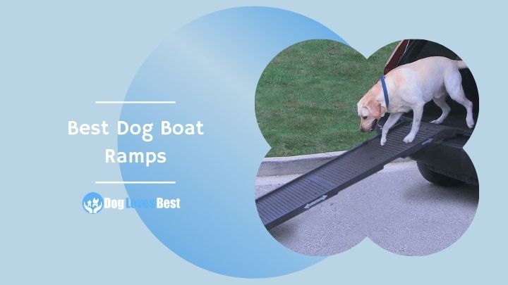 The 7 Best Dog Boat Ramps of 2023 - Reviews & Top Picks - Dog Loves Best