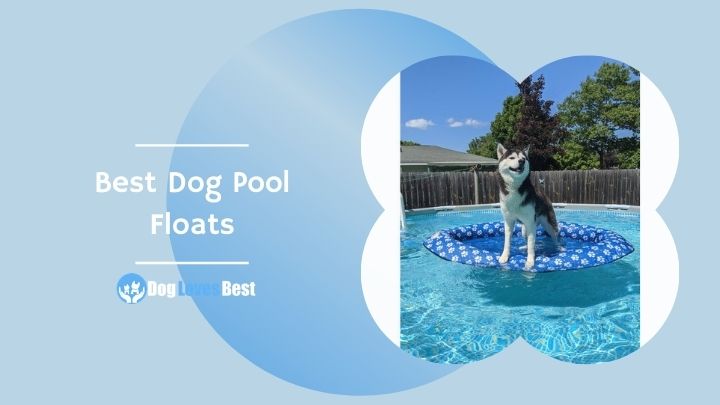 The 10 Best Dog Pool Floats of 2023 - Reviews & Top Picks - Dog Loves Best