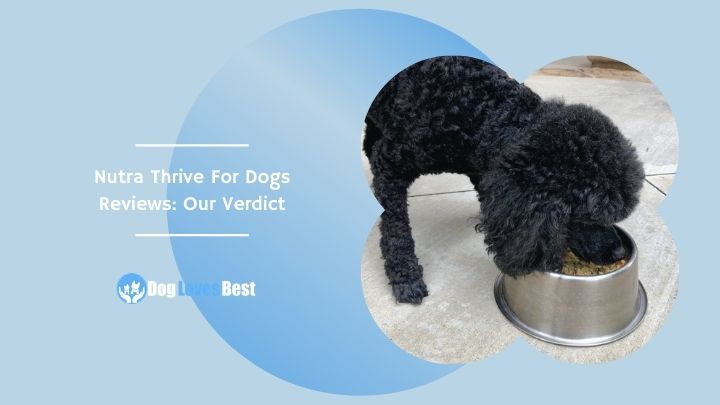 Nutra Thrive For Dogs Reviews: Our Verdict - Dog Loves Best