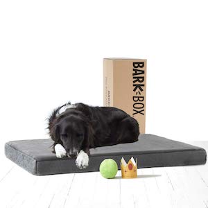 What is the Best Dog Bed? - Dog Loves Best