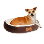 What is the Best Dog Bed? - Dog Loves Best