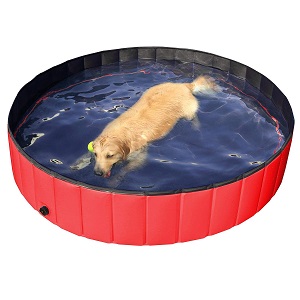 The 5 Best Puncture Proof Dog Pools of 2022 - Dog Loves Best