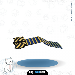 The 5 Best Dog Pool Ramps of 2023 - Reviews & Top Picks - Dog Loves Best