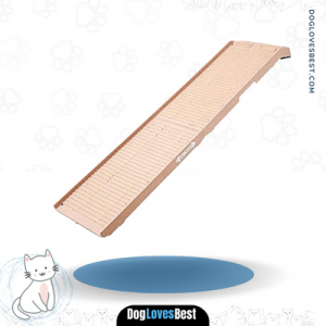 The 5 Best Dog Pool Ramps of 2023 - Reviews & Top Picks - Dog Loves Best