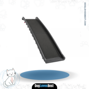 The 5 Best Dog Pool Ramps of 2023 - Reviews & Top Picks - Dog Loves Best