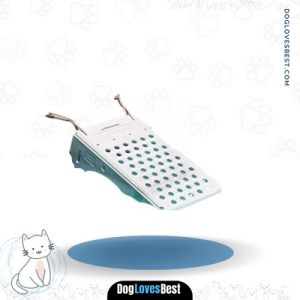 The 5 Best Dog Pool Ramps of 2023 - Reviews & Top Picks - Dog Loves Best